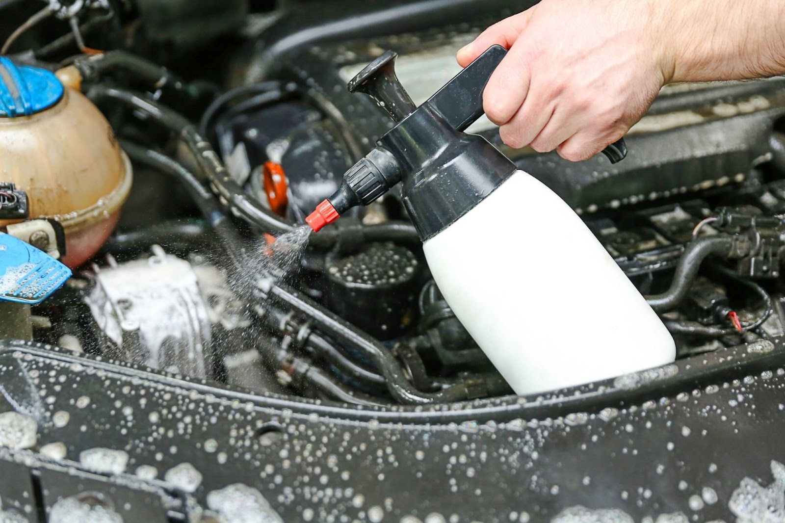 Can You Clean Your Car’s Engine Bay Yourself, or Should You Leave It to ...