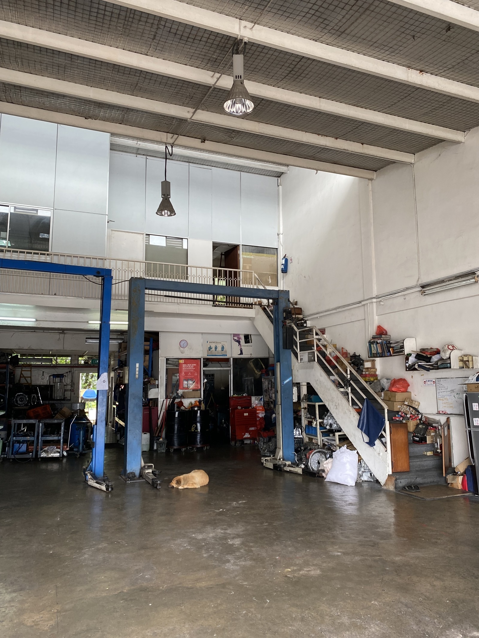 Top Speed Motors | Motor Directory | Motorist Singapore